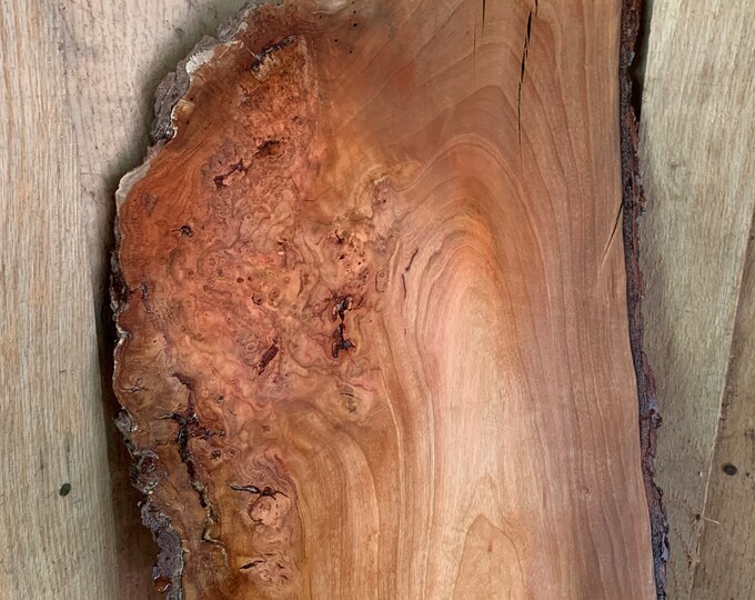 Cherry Burl Slab - Etsy