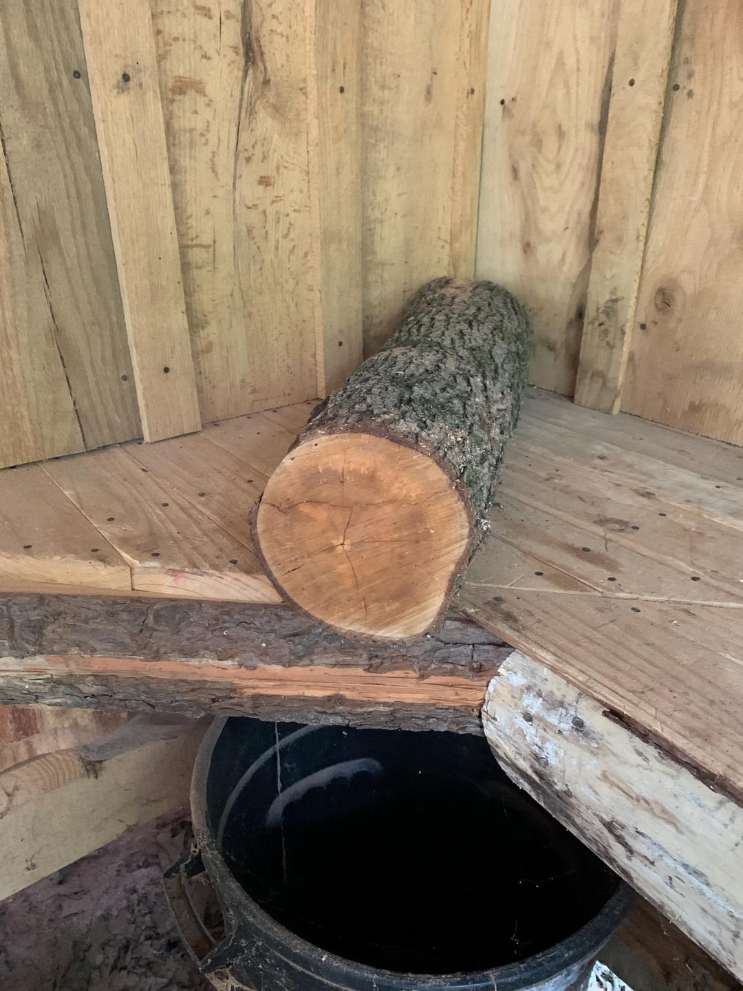 Bradford Pear Log 101 - Etsy