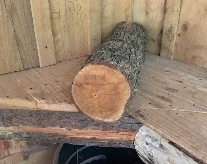 Bradford Pear Log 101 - Etsy