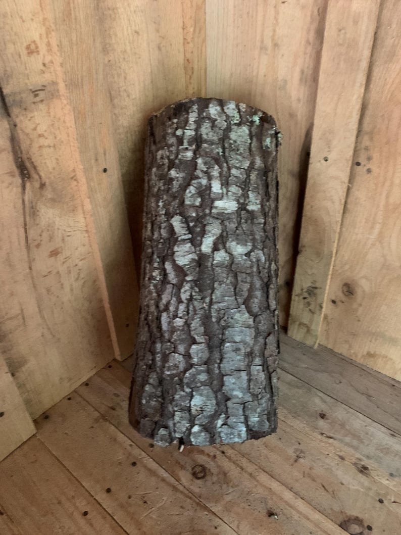 Cherry Log 100 - Etsy