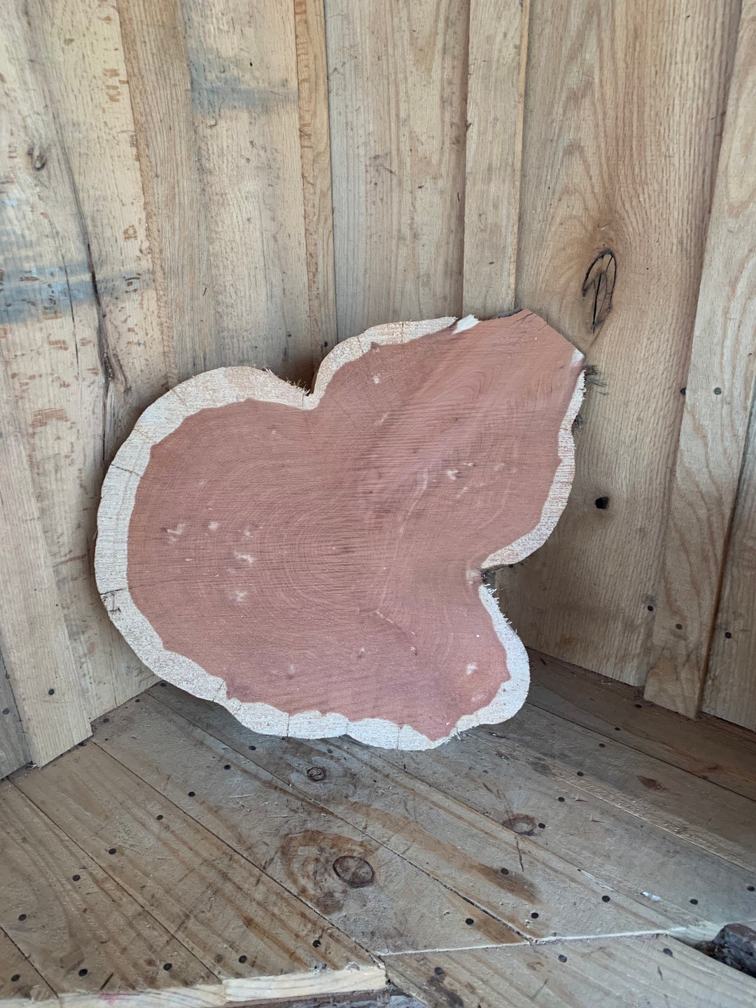 Very Large Thick Unique Red Cedar Wood Slice - 100 - Etsy