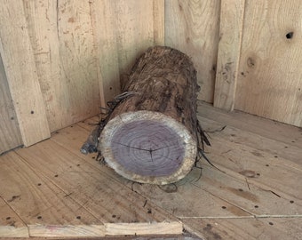 Black Walnut Log Stump - Etsy