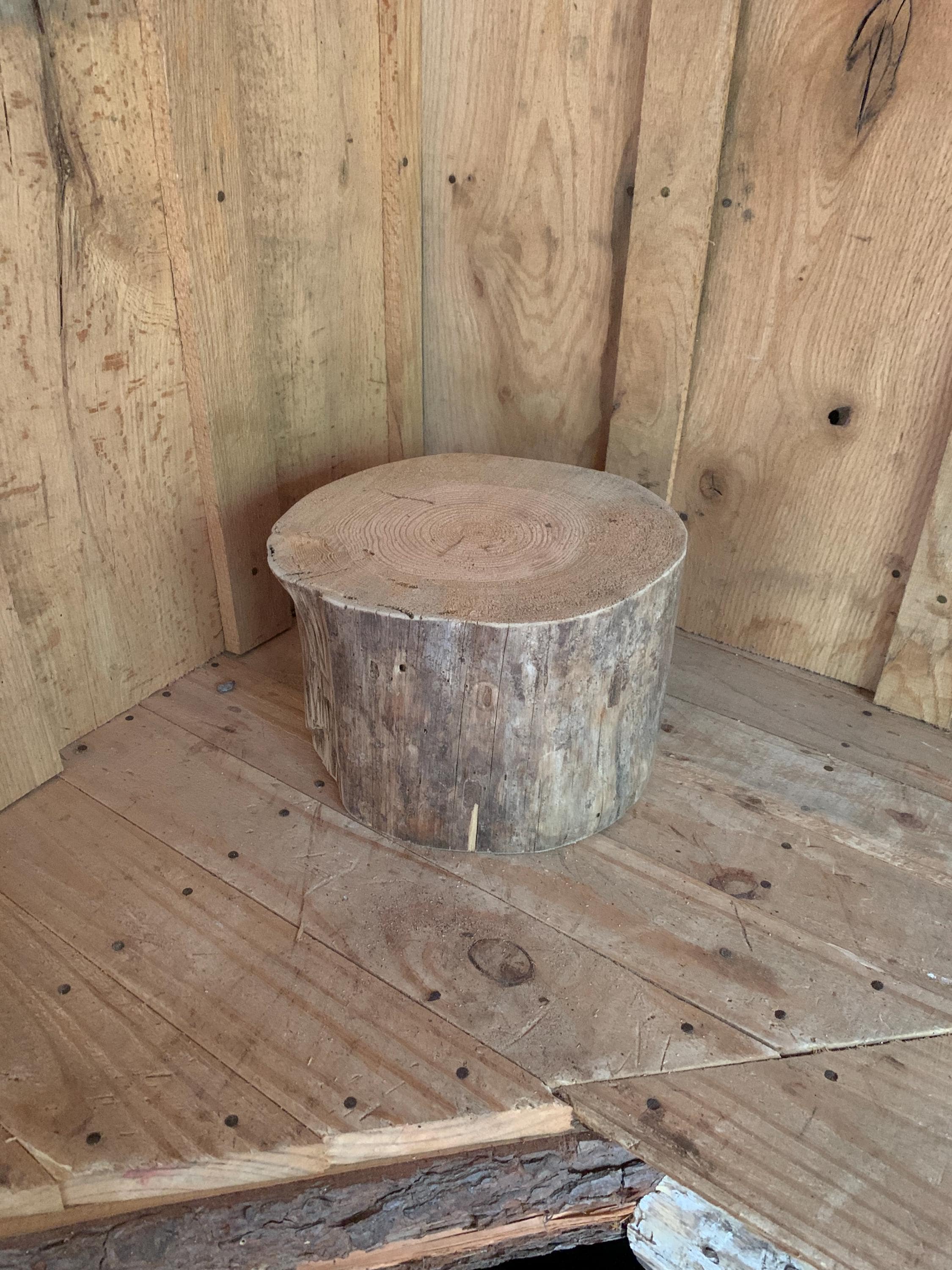 Pine Stump 307 - Etsy