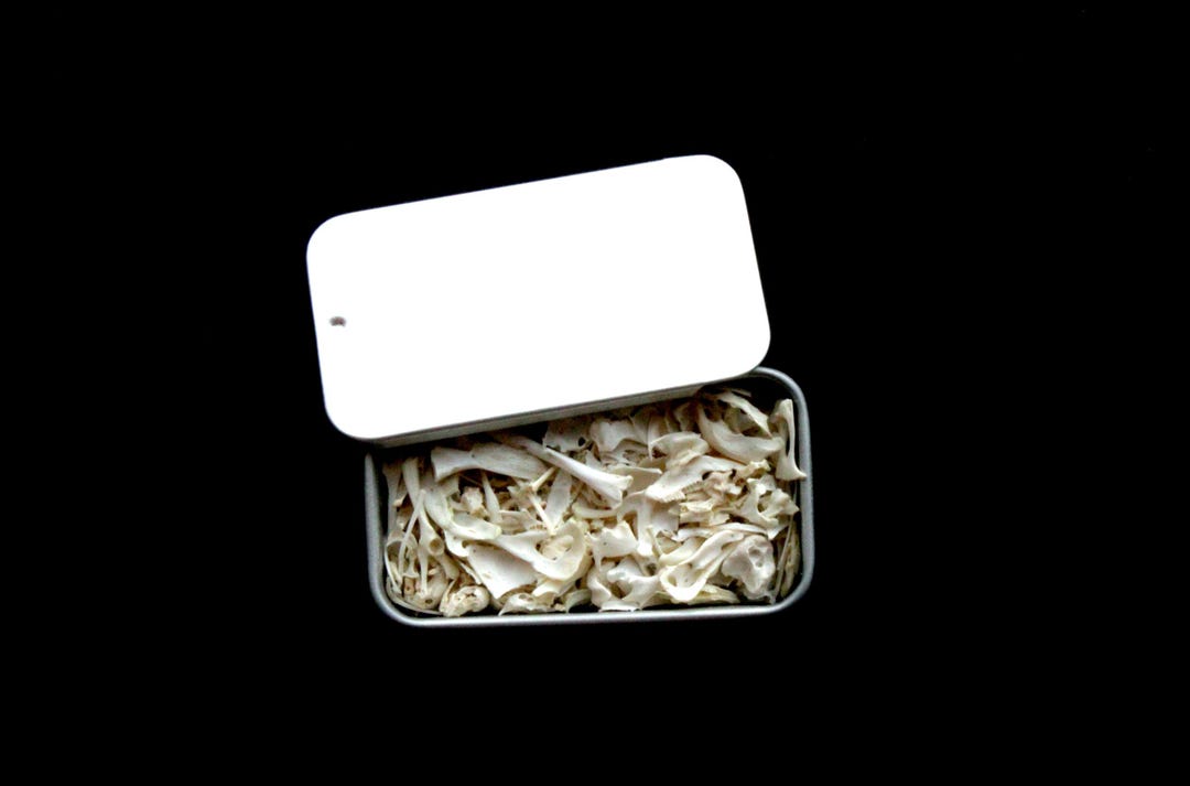 Tiny Bones Container- Cruelty Free - Etsy Canada