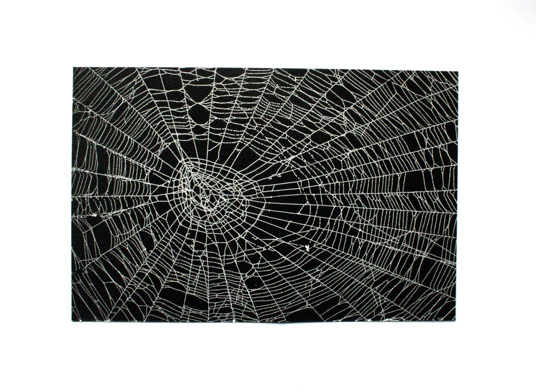 Small Real Preserved Spider Web Cruelty Free - Etsy