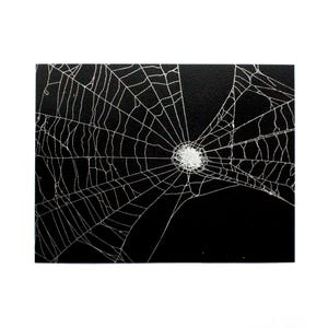 Unique Medium Real Preserved Spider Web- Cruelty Free - Etsy