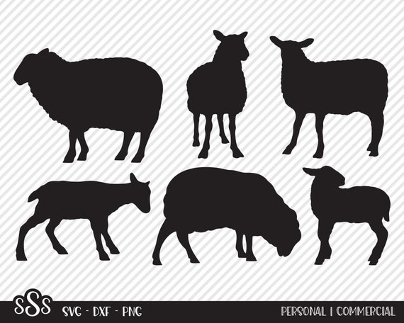 Sheep Bundle SVG Cut File Country Shirt Design Assets Happy | Etsy
