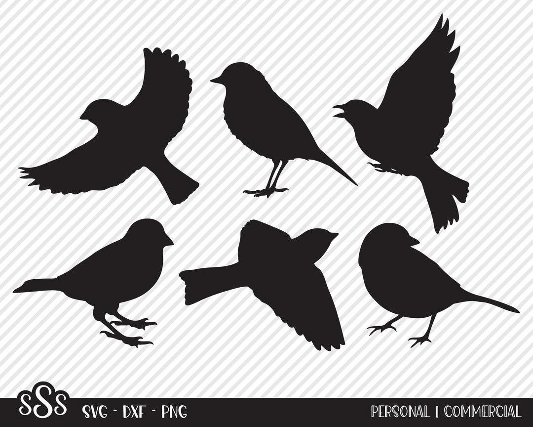 Spring Bird Bundle SVG, Cut File, Outdoor Shirt Design Assets, Birds ...