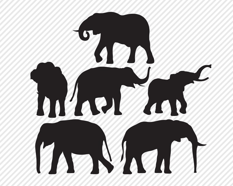 Safari Animal Bundle SVG, Cut File, Zoo Shirt Design Assets, African ...