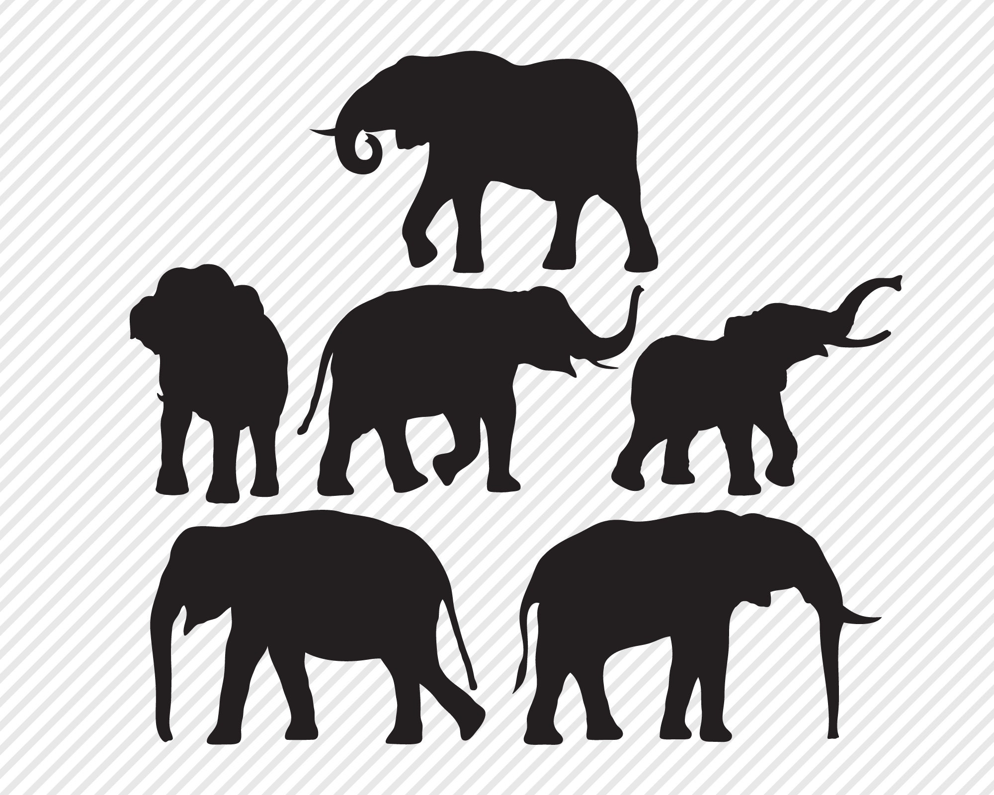 Safari Animal Bundle SVG, Cut File, Zoo Shirt Design Assets, African ...