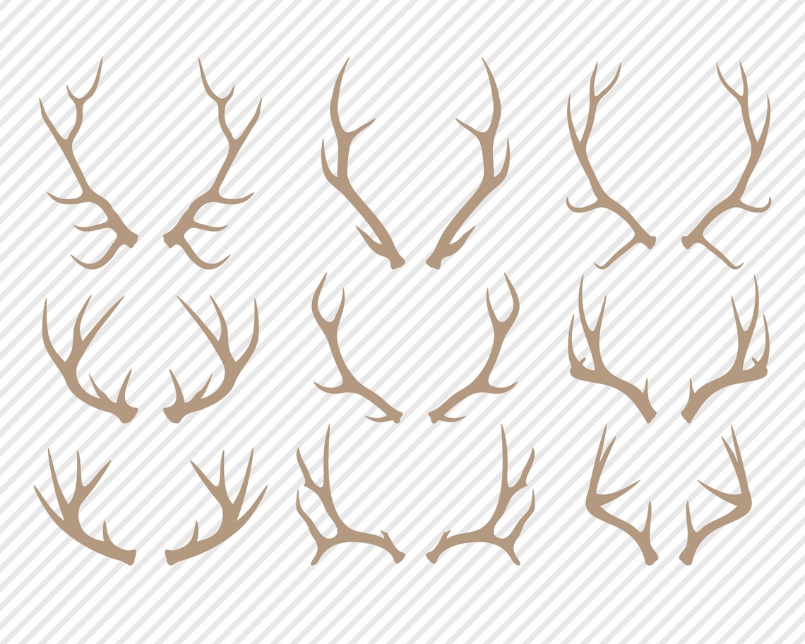 Antler Bundle SVG, Cut File, Outdoor Shirt Design Assets, White Tail ...