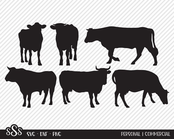 Cattle Bundle SVG Cut File Country Shirt Design Assets | Etsy