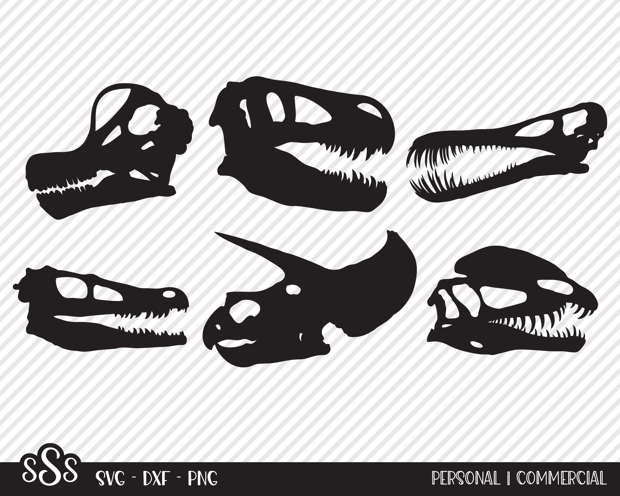 Dinosaur Skull Bundle SVG, Cut File, Dino Shirt Design Assets, Jurassic ...