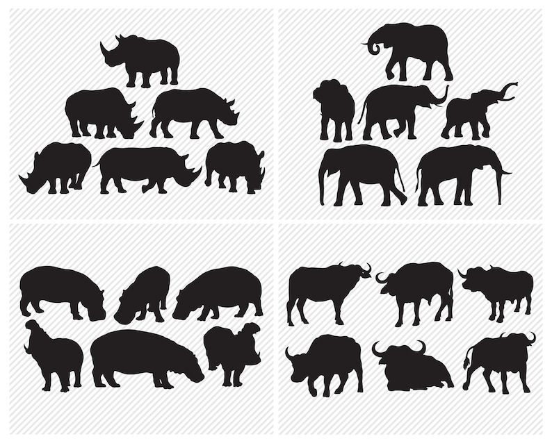 Zoo Safari Bundle SVG, Cut File, Animal Shirt Design Assets, African ...