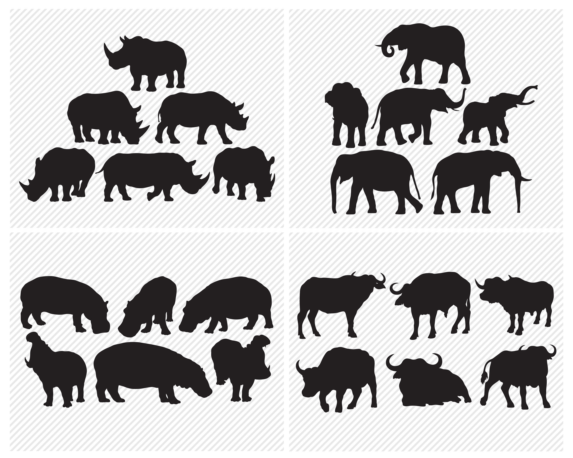 Zoo Safari Bundle SVG, Cut File, Animal Shirt Design Assets, African ...