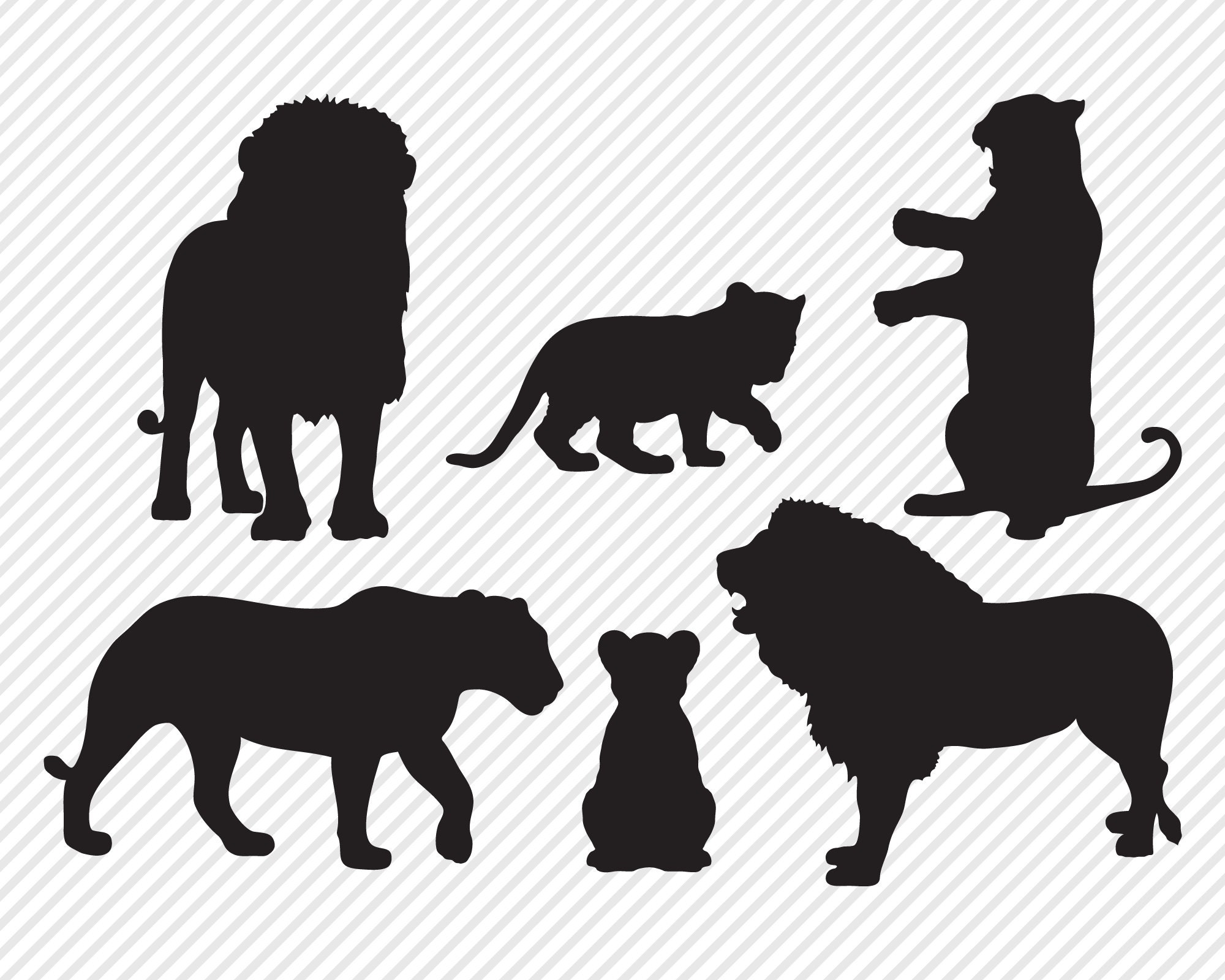 Safari Animal Bundle SVG, Cut File, Zoo Shirt Design Assets, African ...