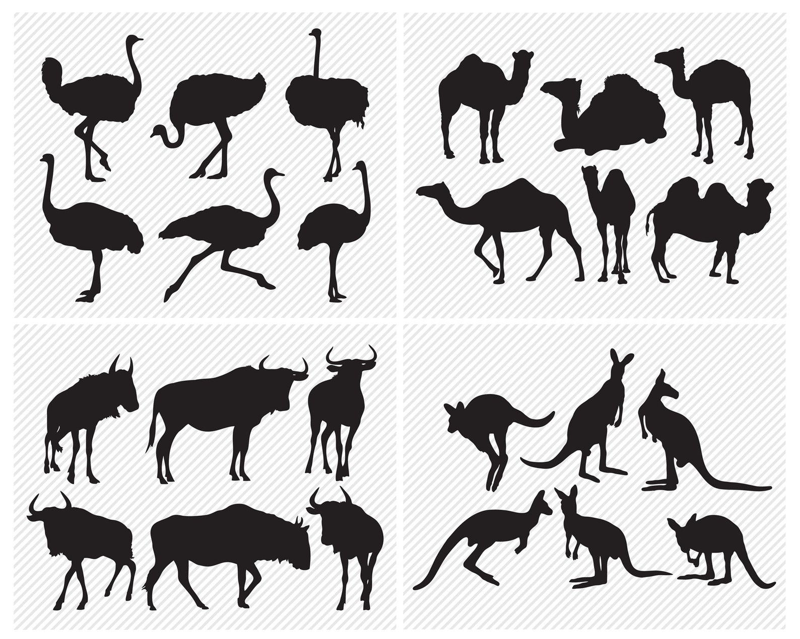 Zoo Safari Bundle SVG, Cut File, Animal Shirt Design Assets, African ...