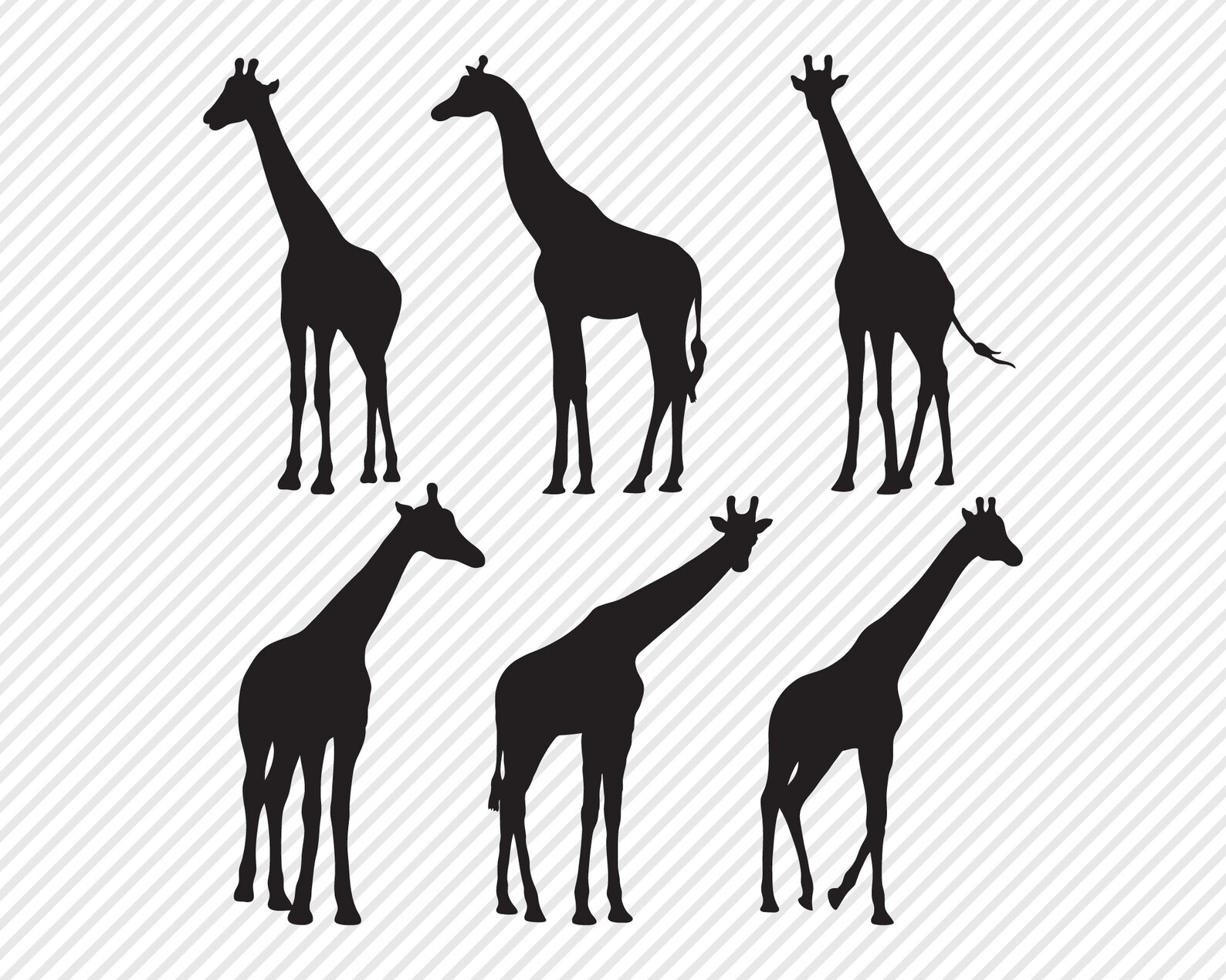 Safari Animal Bundle SVG, Cut File, Zoo Shirt Design Assets, African ...