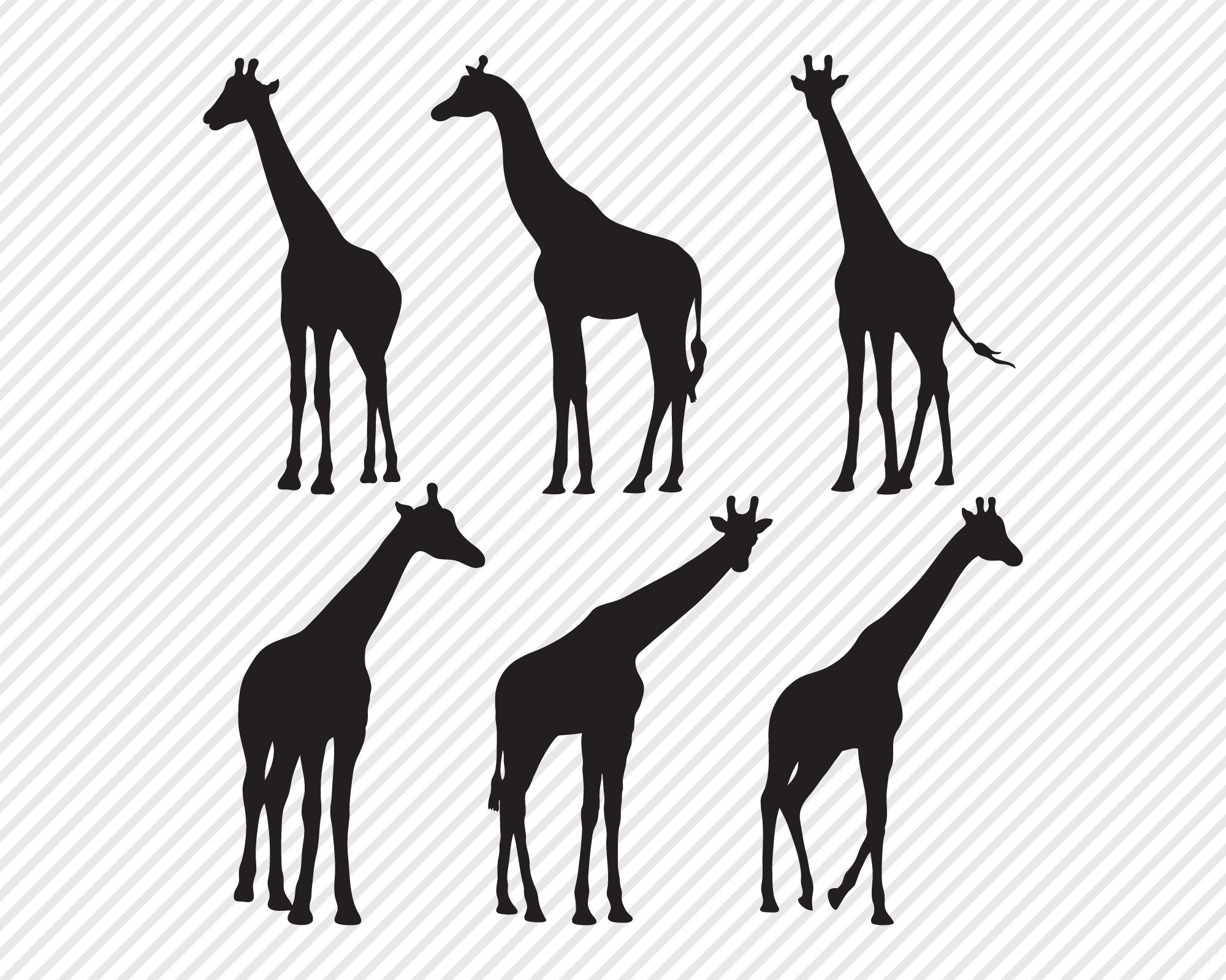 Safari Animal Bundle SVG, Cut File, Zoo Shirt Design Assets, African ...