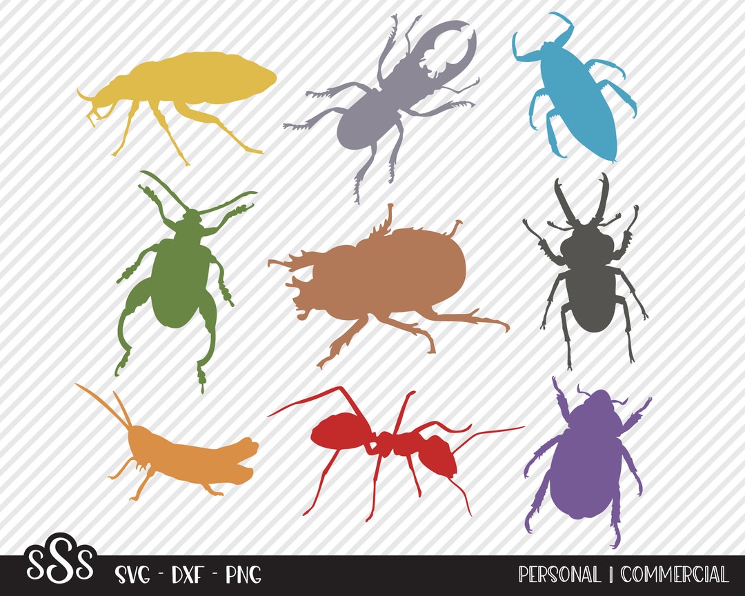Bug Bundle SVG, Cut Files, Bugs, Shirt Design Assets, Beetles, Country ...