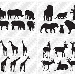 Zoo Safari Bundle SVG, Cut File, Animal Shirt Design Assets, African ...