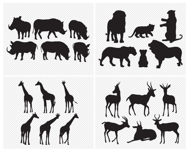 Zoo Safari Bundle SVG, Cut File, Animal Shirt Design Assets, African ...