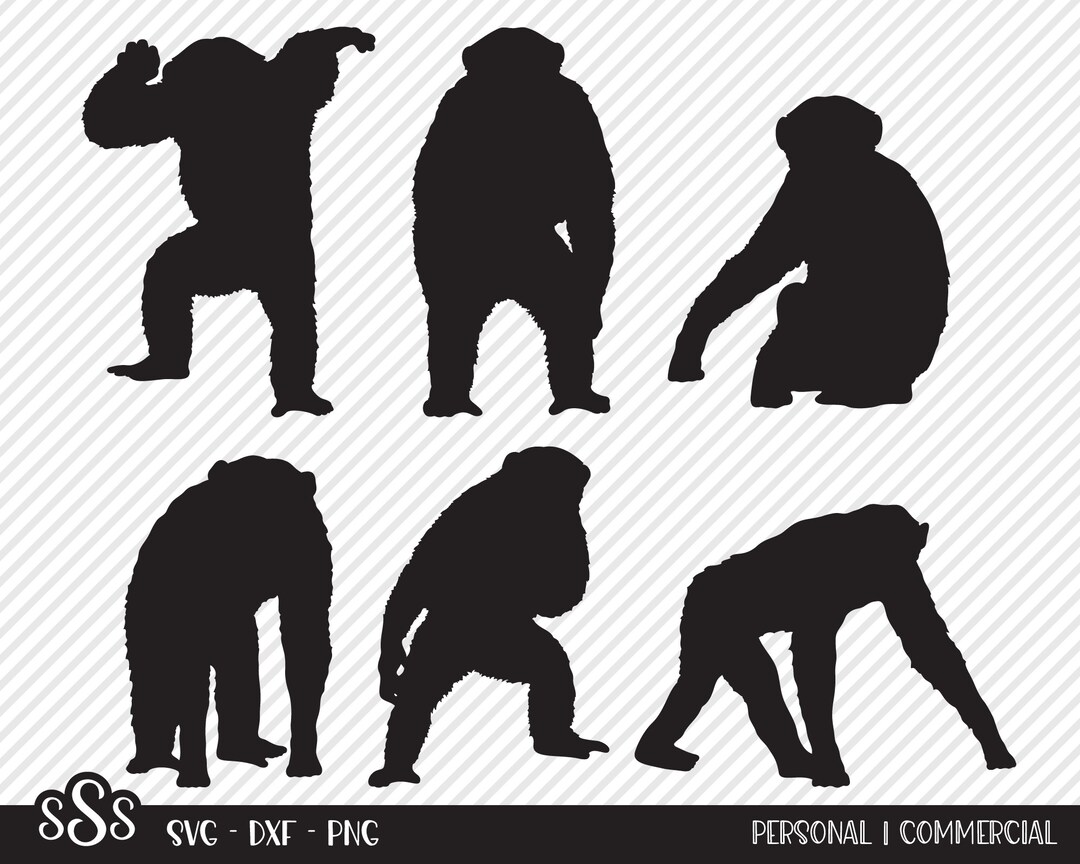 Chimpanzee Bundle SVG, Cut File, Wildlife Shirt Design Assets, Wild ...