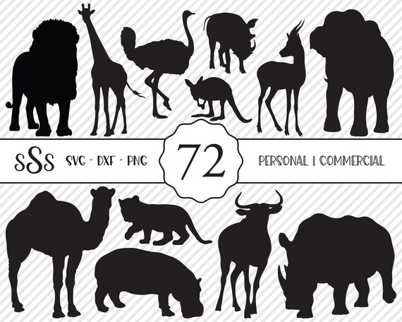 Zoo Safari Bundle SVG Cut File Animal Shirt Design Assets - Etsy