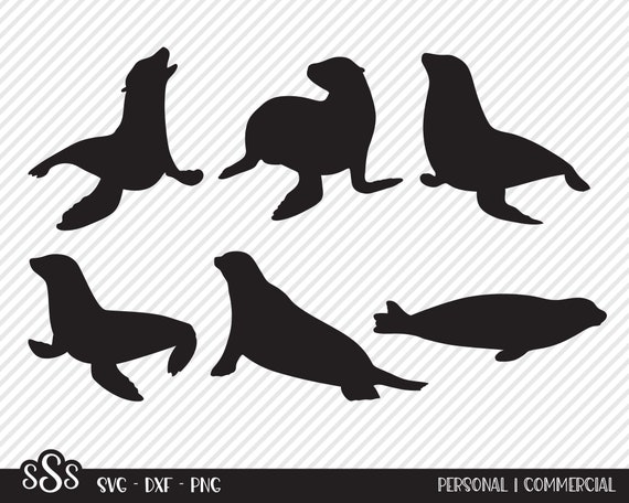 Seal Bundle SVG Cut File Outdoor Shirt Design Assets Fun - Etsy