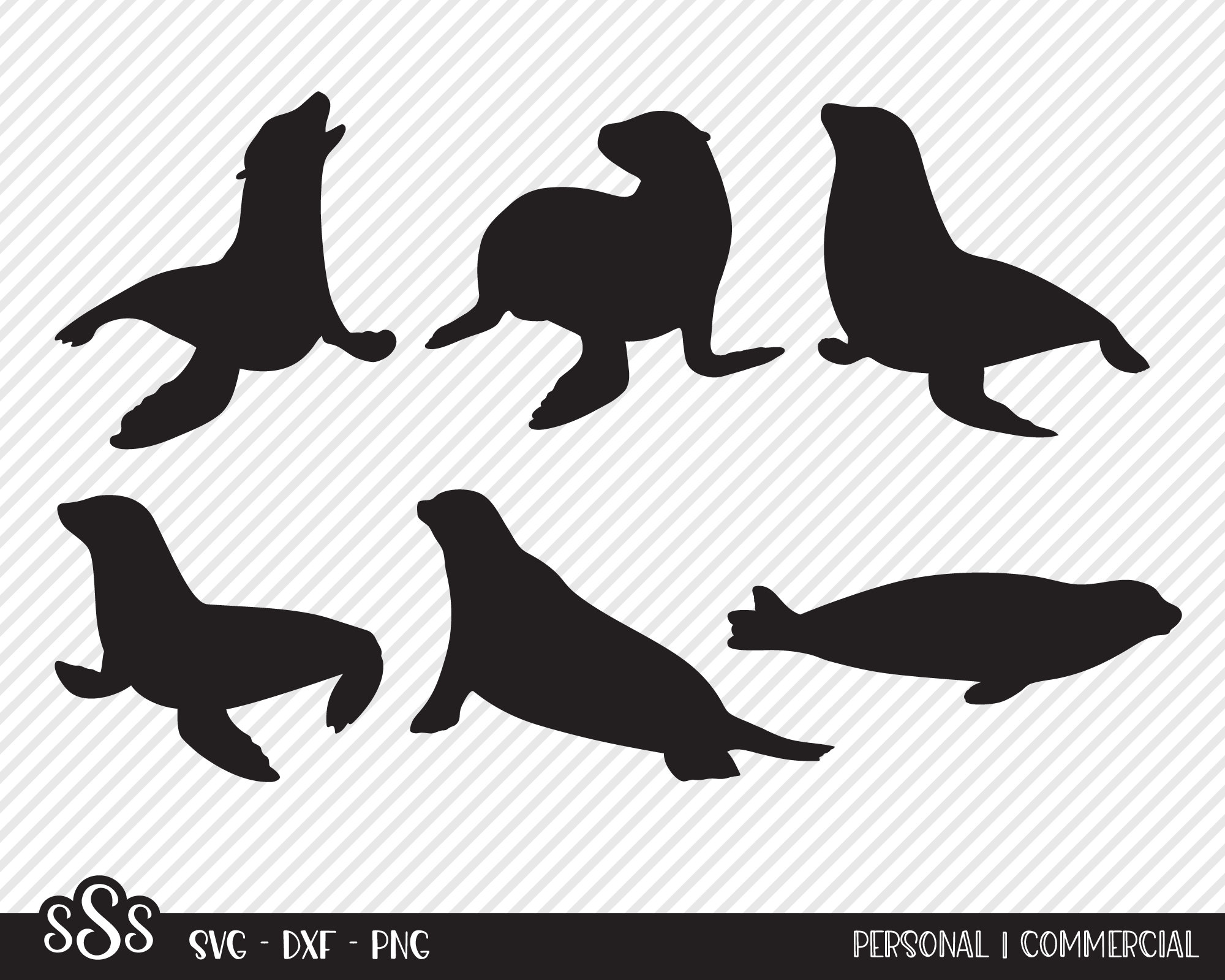 Seal Bundle SVG, Cut File, Outdoor Shirt Design Assets, Fun Marine Life ...
