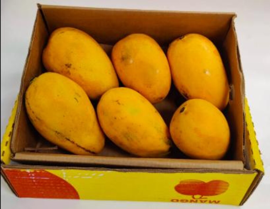 Fresh Kesar Mangoes: Indian Alphonso Mangoes, Box of 6 - Etsy UK