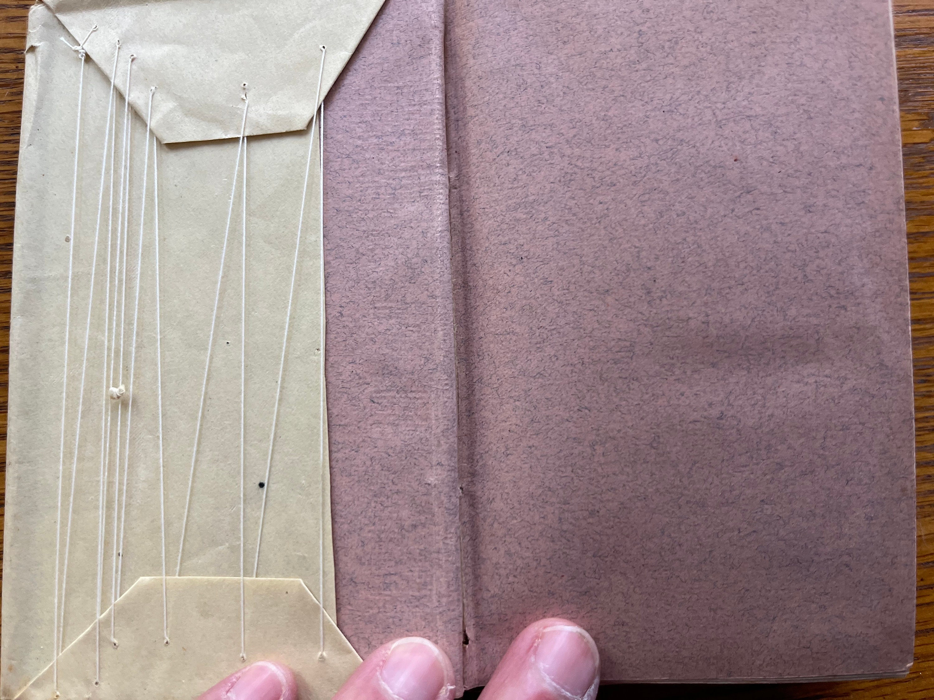 Almost 150 Years Old, Well Preserved Book”the Ladies Almanac for 1876 ...