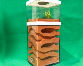 Ant Formicarium | Etsy