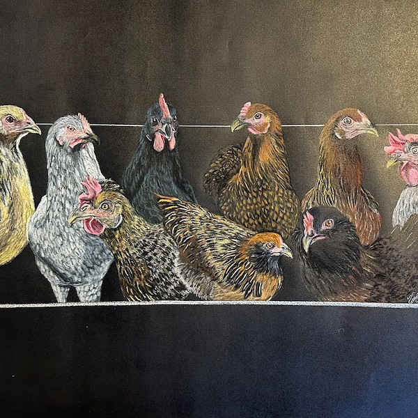 Chicken Drawing - Etsy