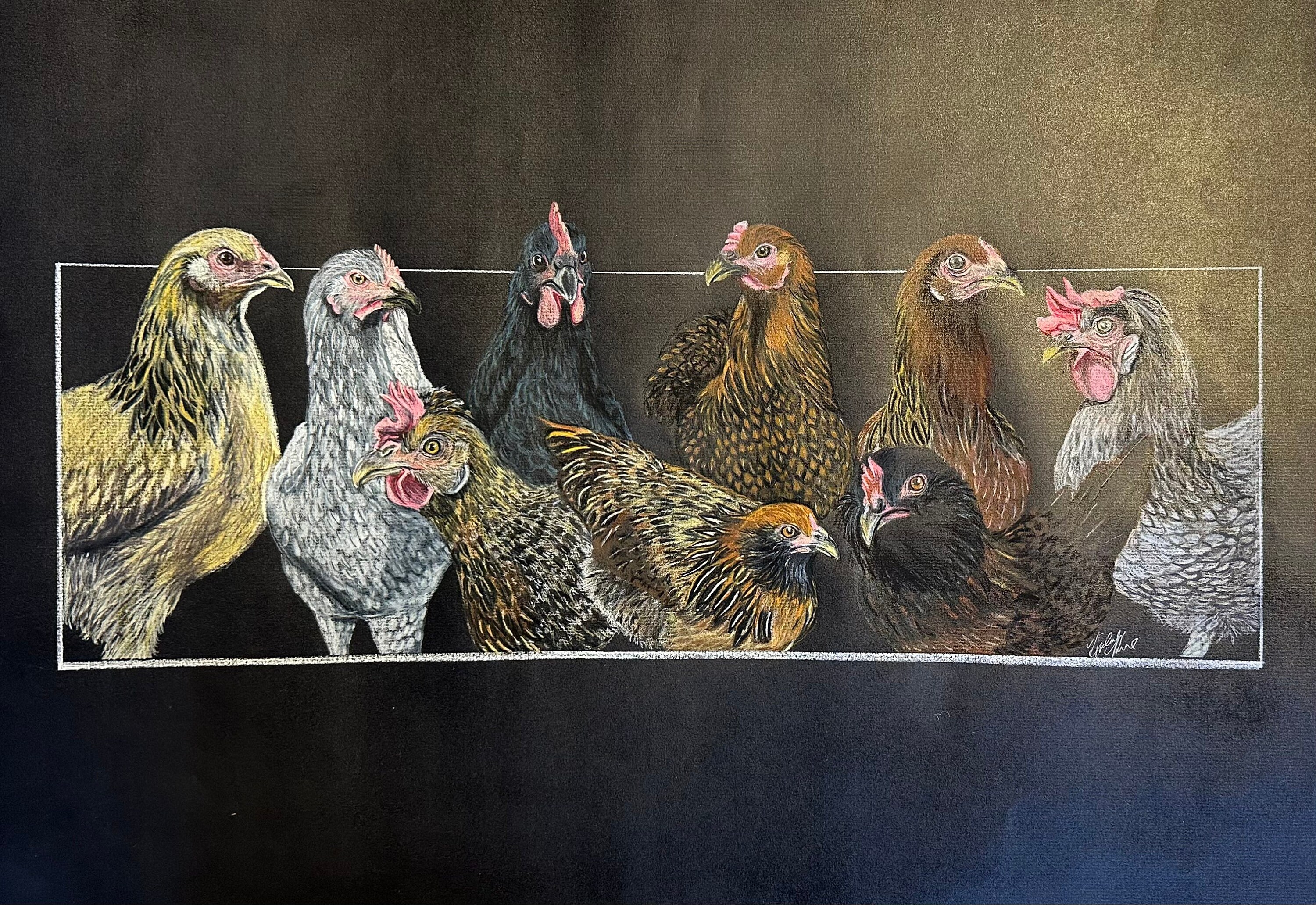 Custom Chicken Lineup Drawing - Etsy