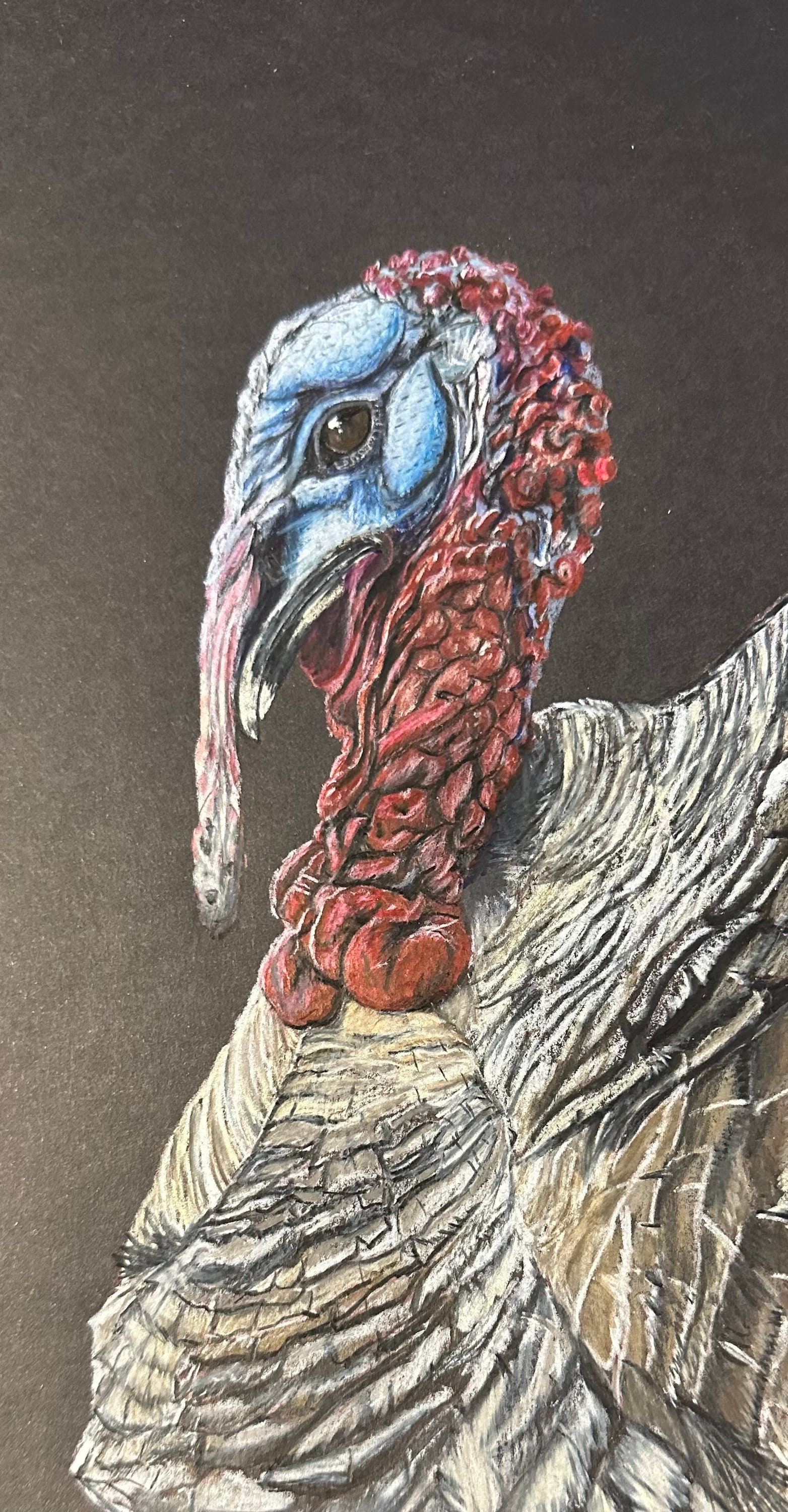 Original Strutting Turkey Tom Drawing - Etsy