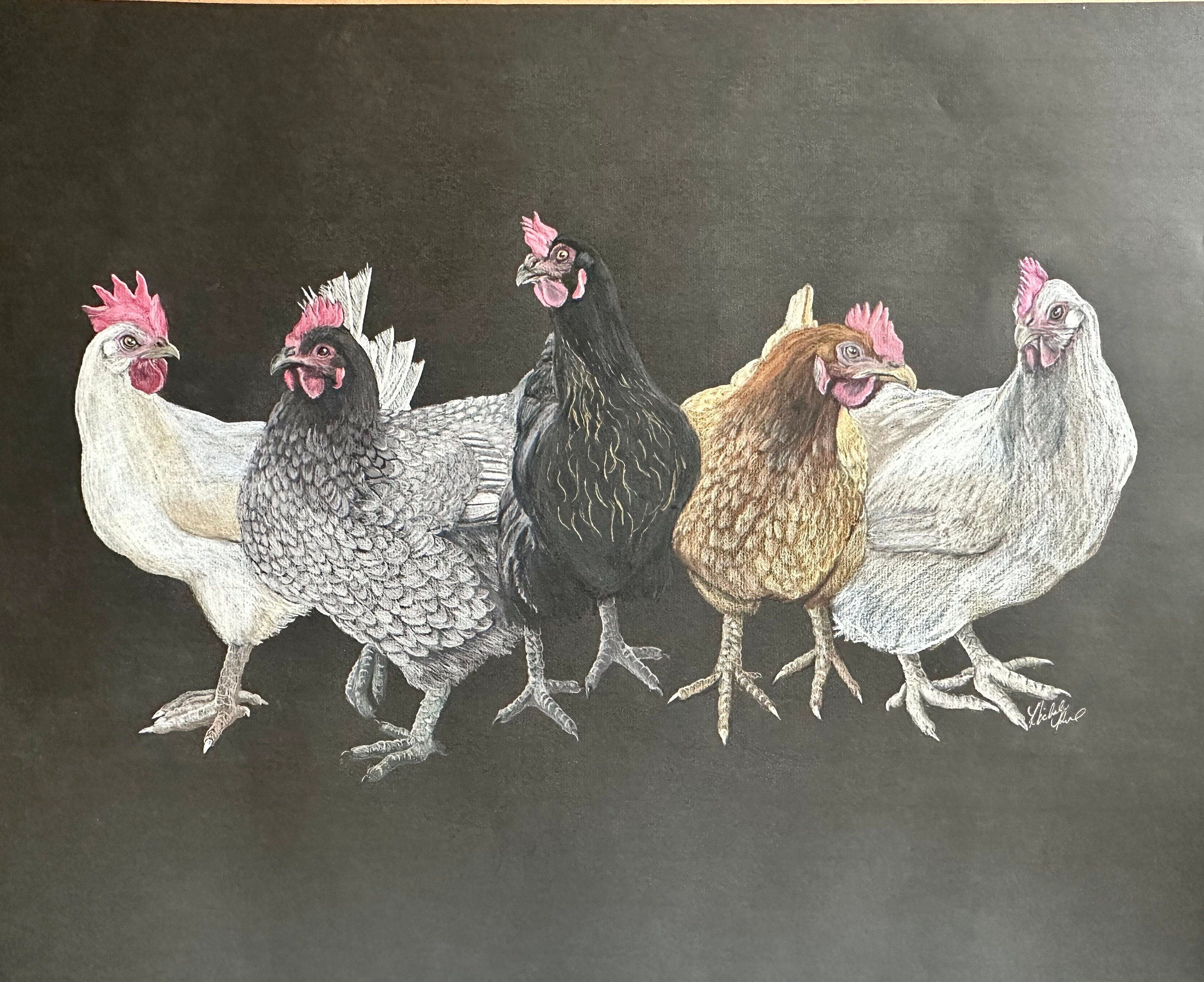 Custom Chicken Lineup Drawing - Etsy
