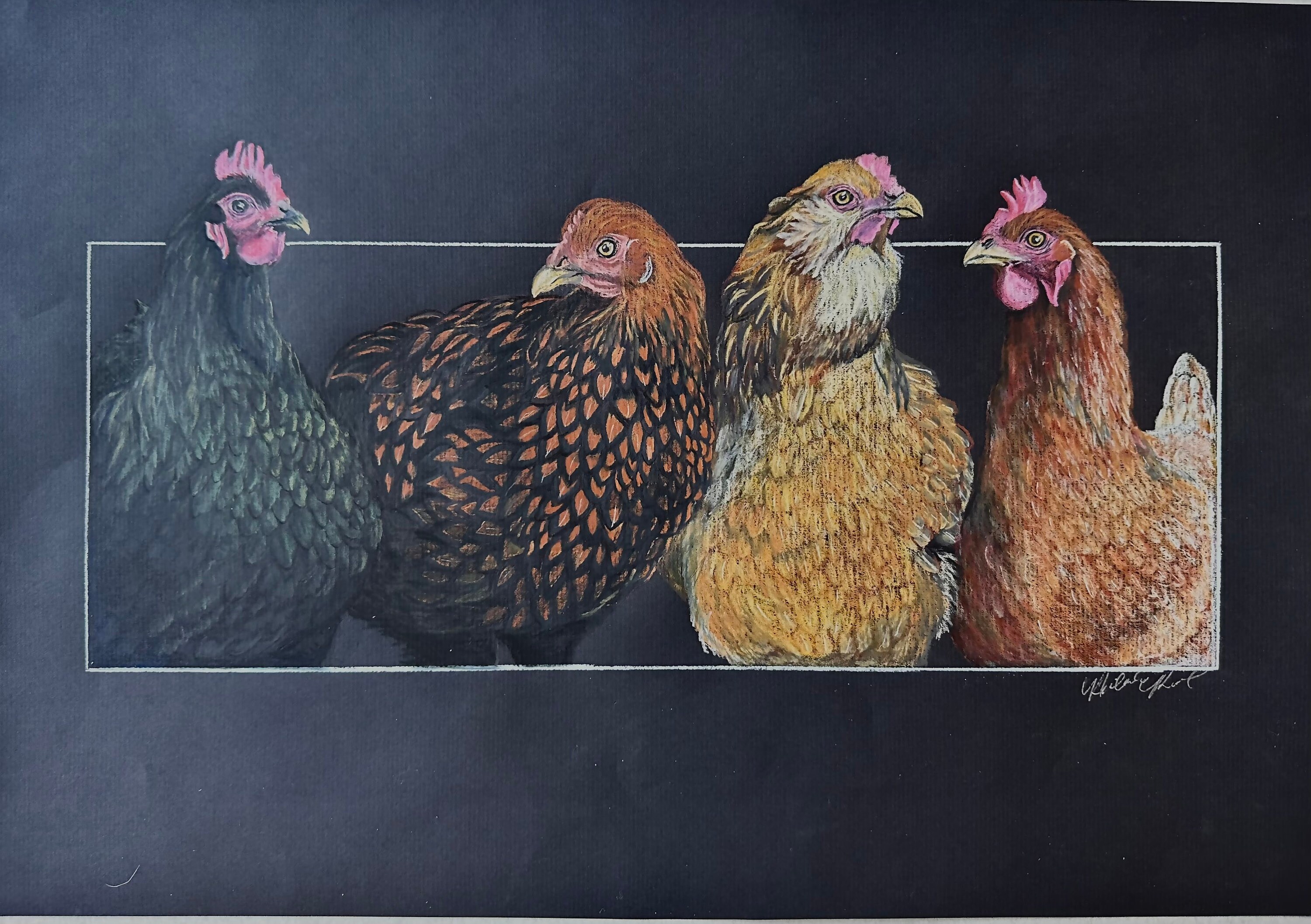 Custom Chicken Lineup Drawing - Etsy