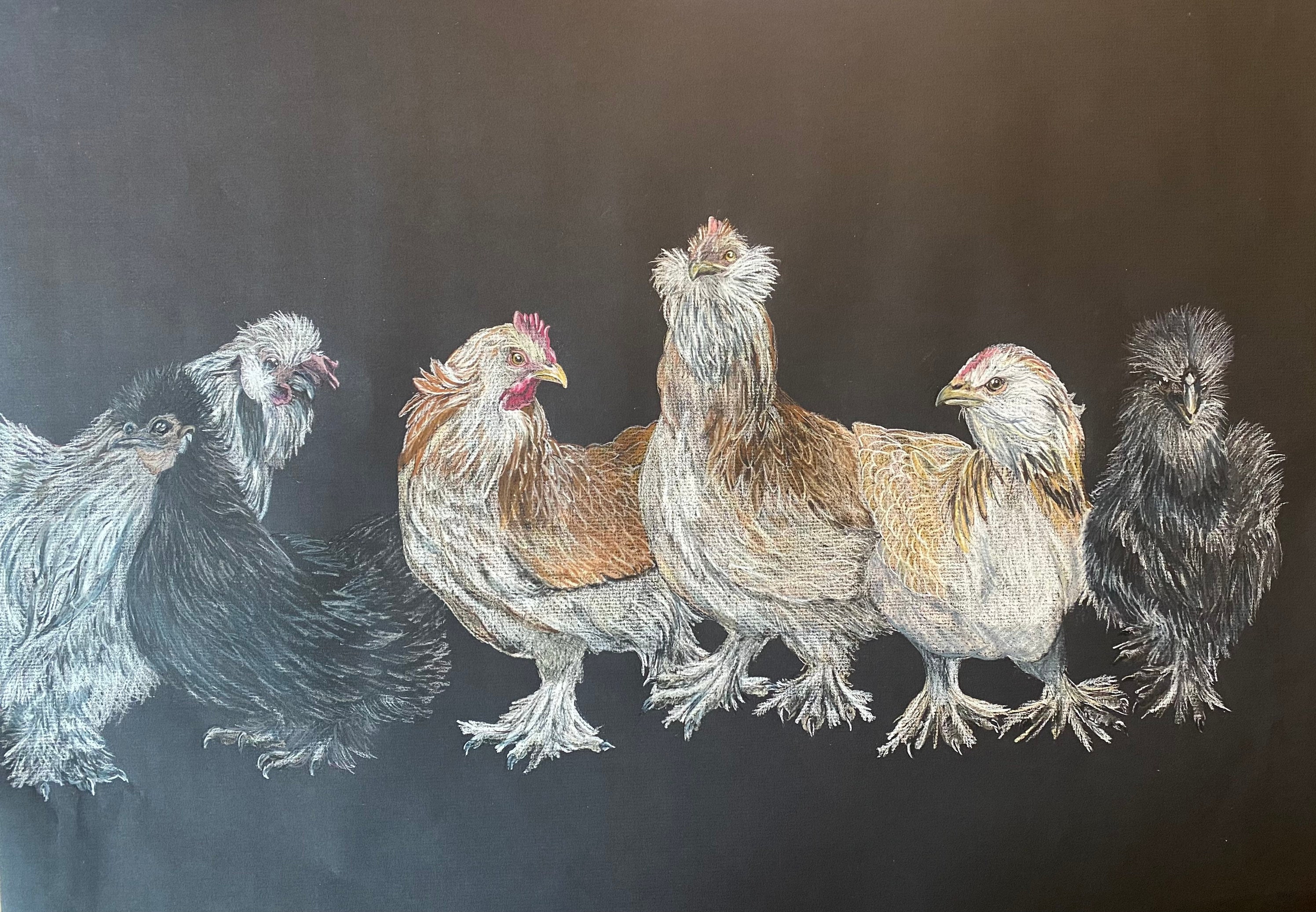Custom Chicken Lineup Drawing - Etsy