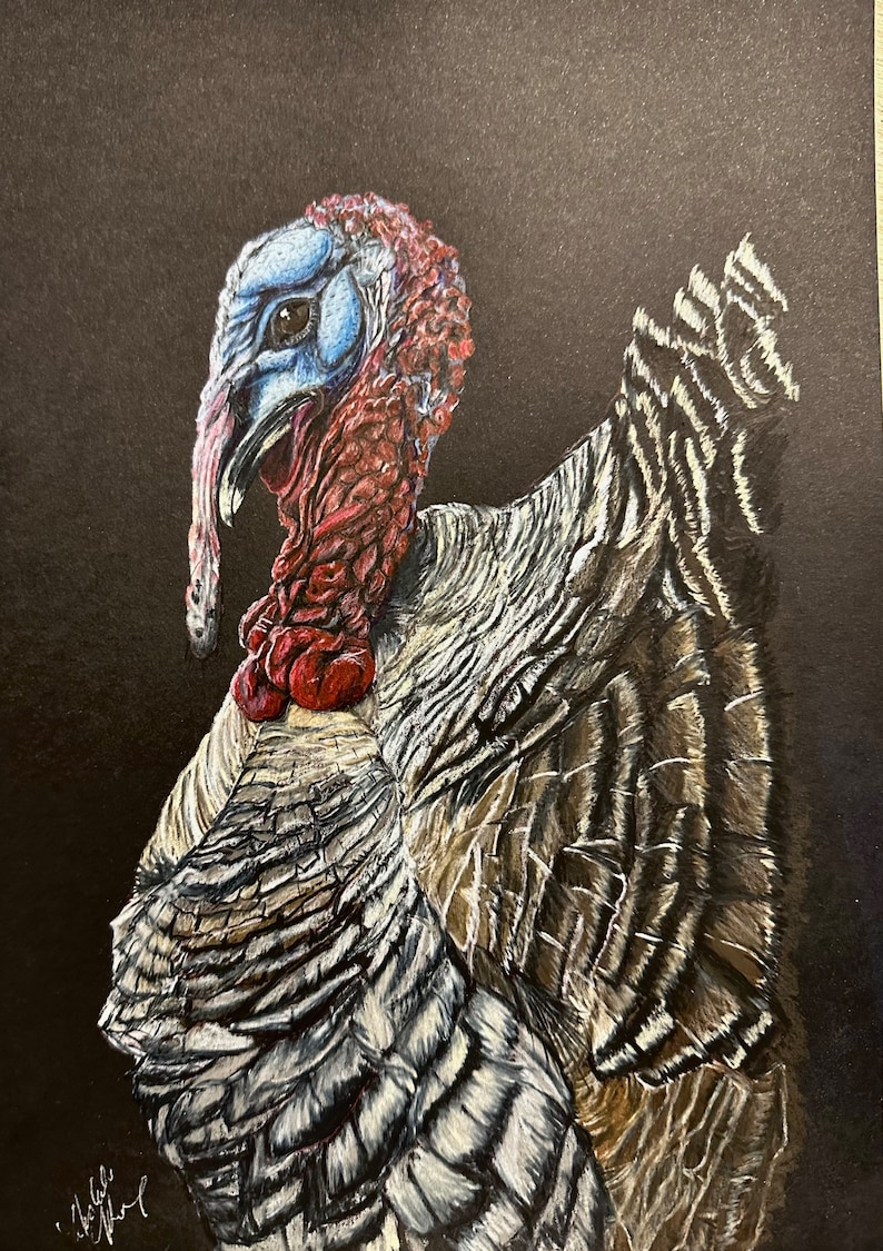 Original Strutting Turkey Tom Drawing - Etsy