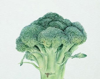 Broccoli Wall Art - Etsy
