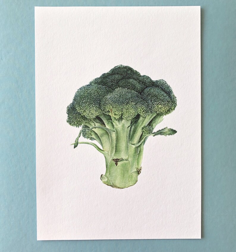 Broccoli. Fine Art Print, Wall Prints Vegetable, Handmade Print, Gift ...