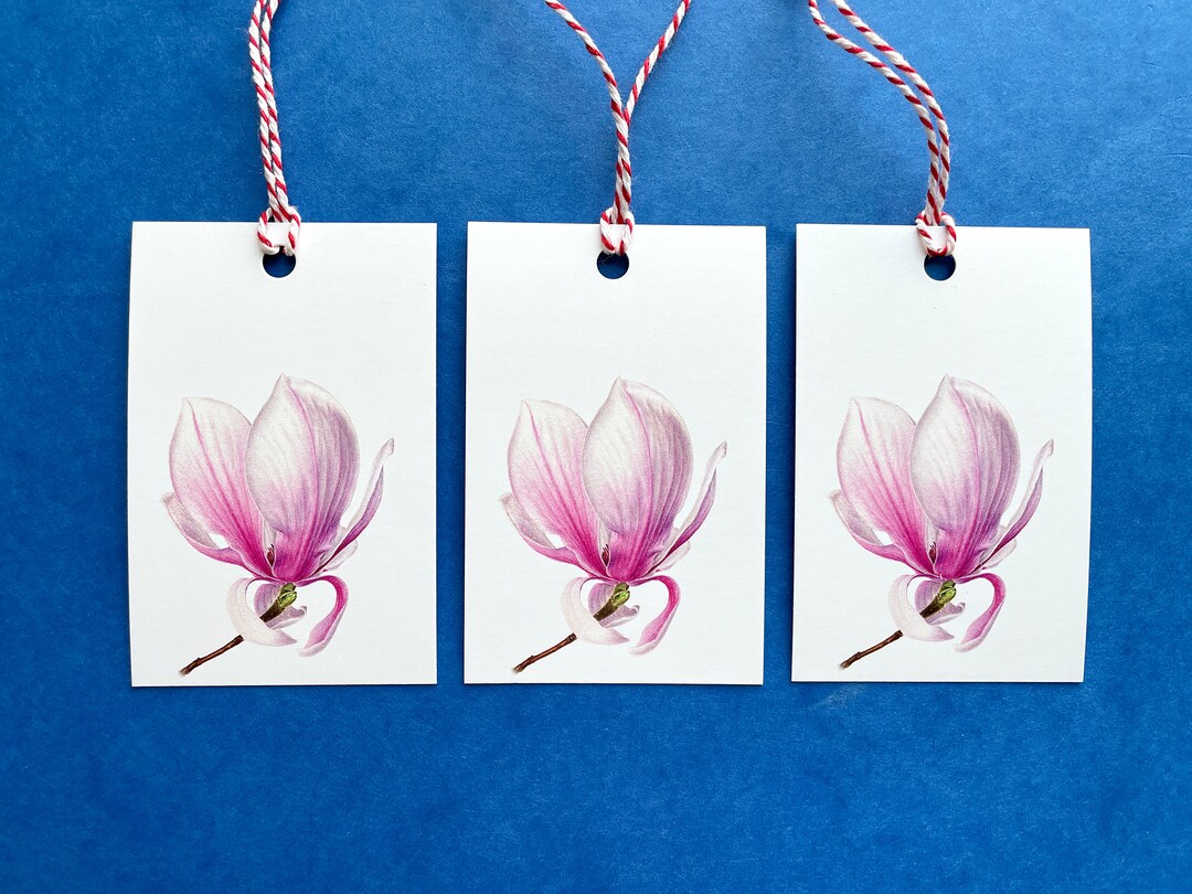 Magnolia Gift Tags. Set of 3 Floral Tags Handmade Botanical - Etsy