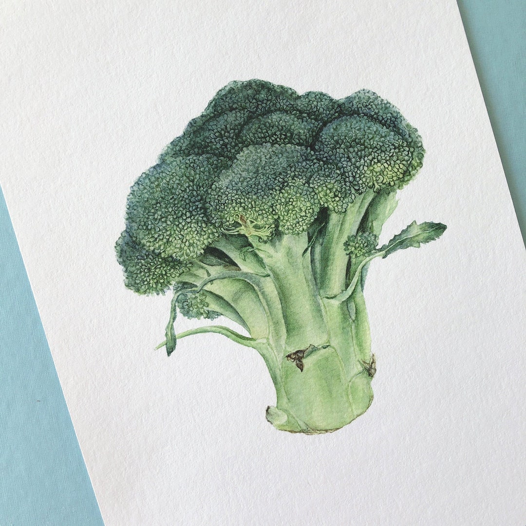 Broccoli. Fine Art Print, Wall Prints Vegetable, Handmade Print, Gift ...