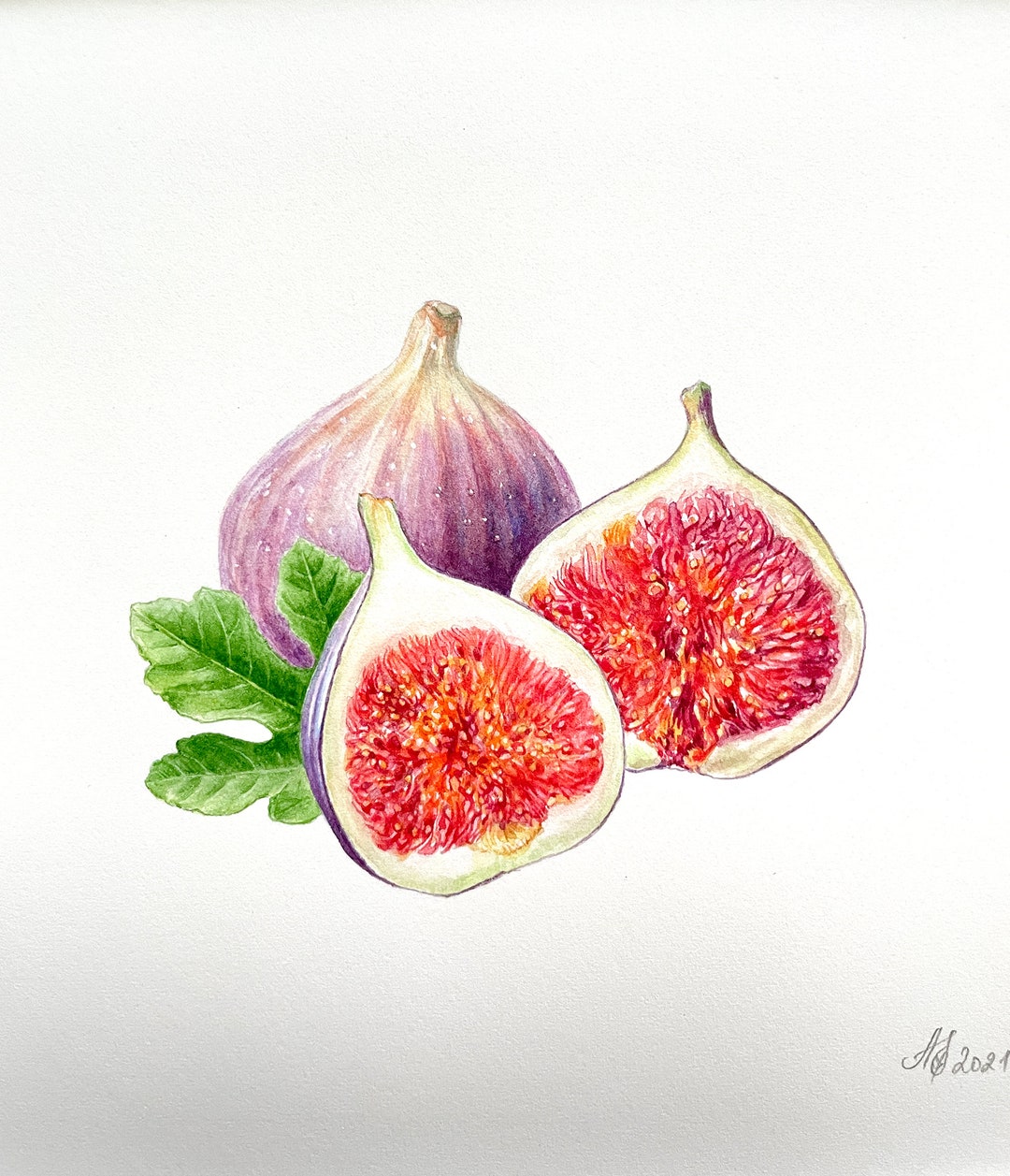 Figs Illustration - Watercolour Art, Botanical Art, Handmade,original ...