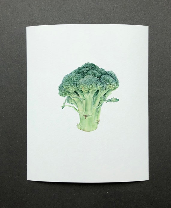 Broccoli. Fine Art Print Wall Prints Vegetable Handmade - Etsy