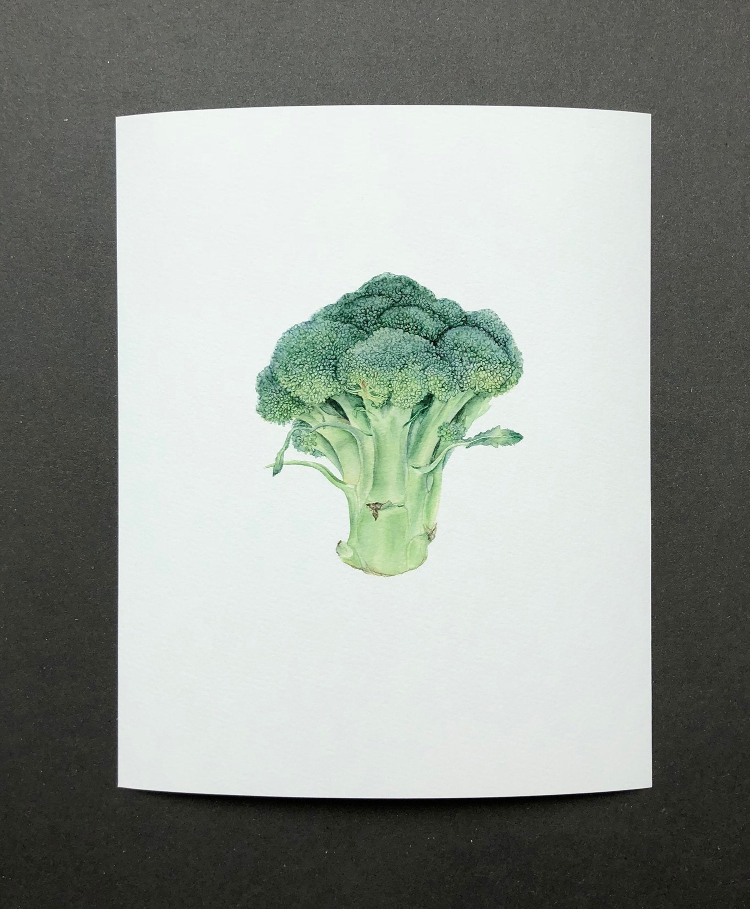 Broccoli. Fine Art Print, Wall Prints Vegetable, Handmade Print, Gift ...