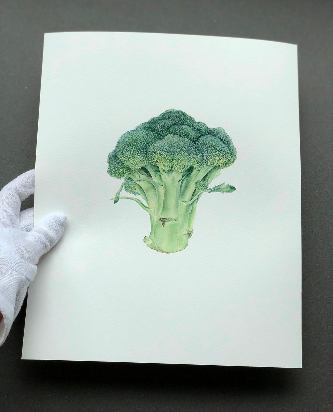 Broccoli print giclée print watercolour painting Botanical | Etsy