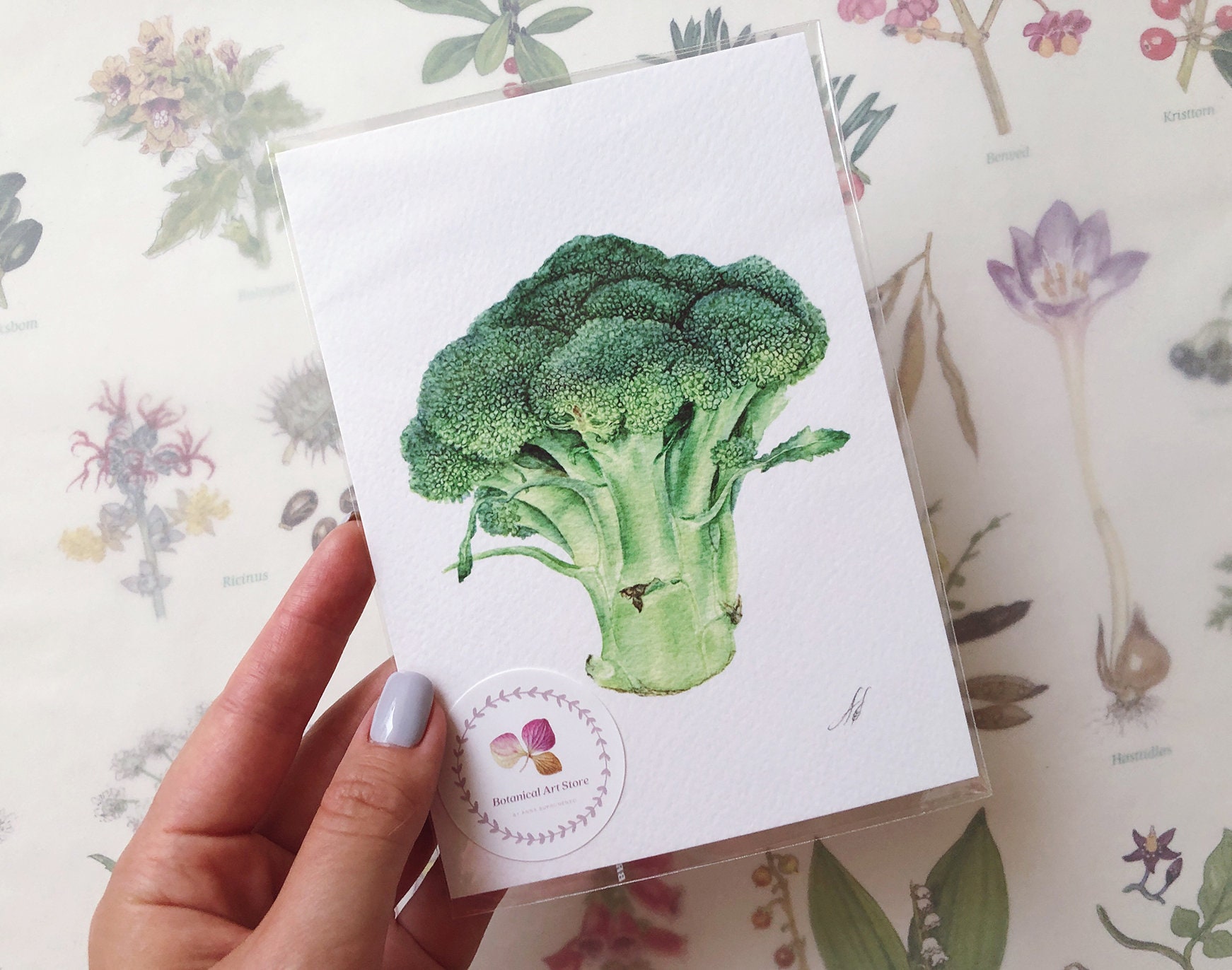 Vegetable Set of 3 Cards - Handmade Botanical Cards, Botanical ...