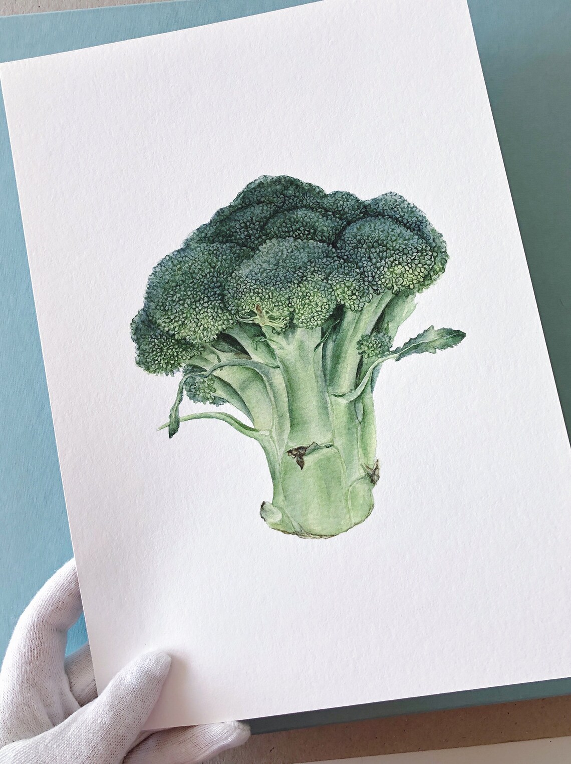 Broccoli. Fine Art Print Wall Prints Vegetable Handmade - Etsy